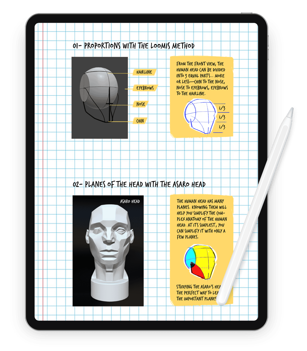 Head Construction - Free Cheatsheet LM - Paintable